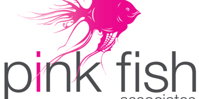 PINK FISH ASSOCIATES AND HOPEWISER - Hopewiser